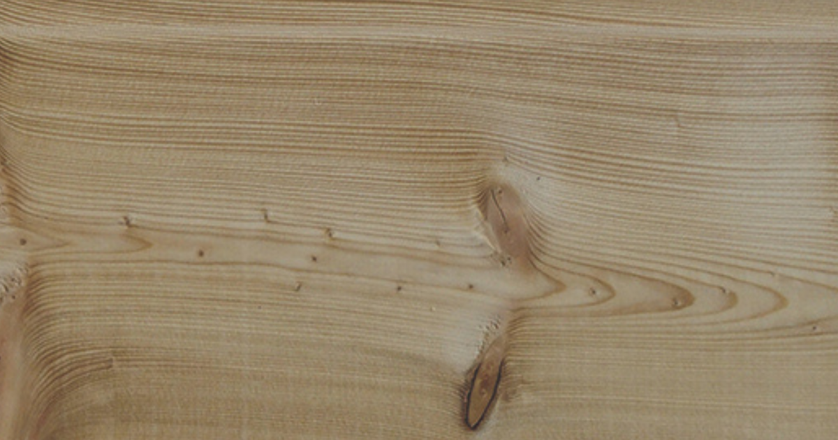 Larch wood - durable and resistant European wood | Sivalbp